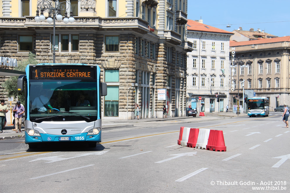 Trieste Bus 1
